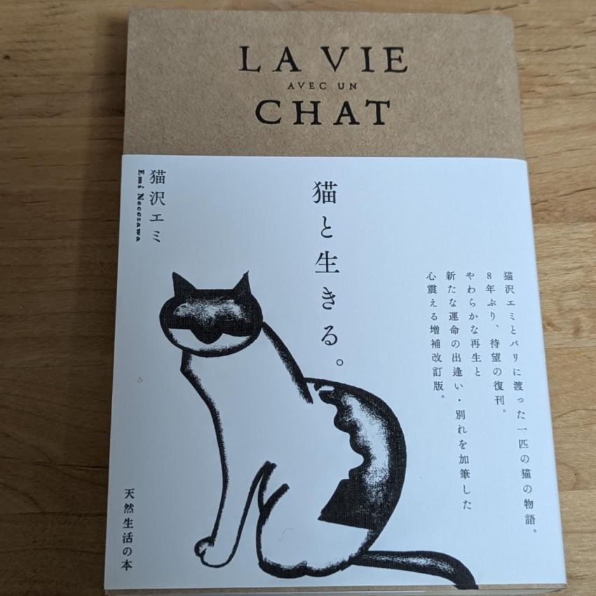 LA VIE CHAT 猫と生きる Emi Nekozawa - ソーシャルヘルスケア協会 | ソーシャルヘルスケア協会